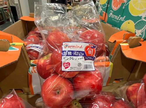 コストコおすすめ！ニュージーランド産リンゴ6種類：徹底比較＆購入ガイド | コストコ便利帳